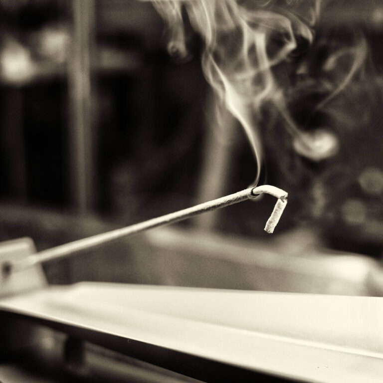 GFS OnlineStore - GANZ FACTORY STORE